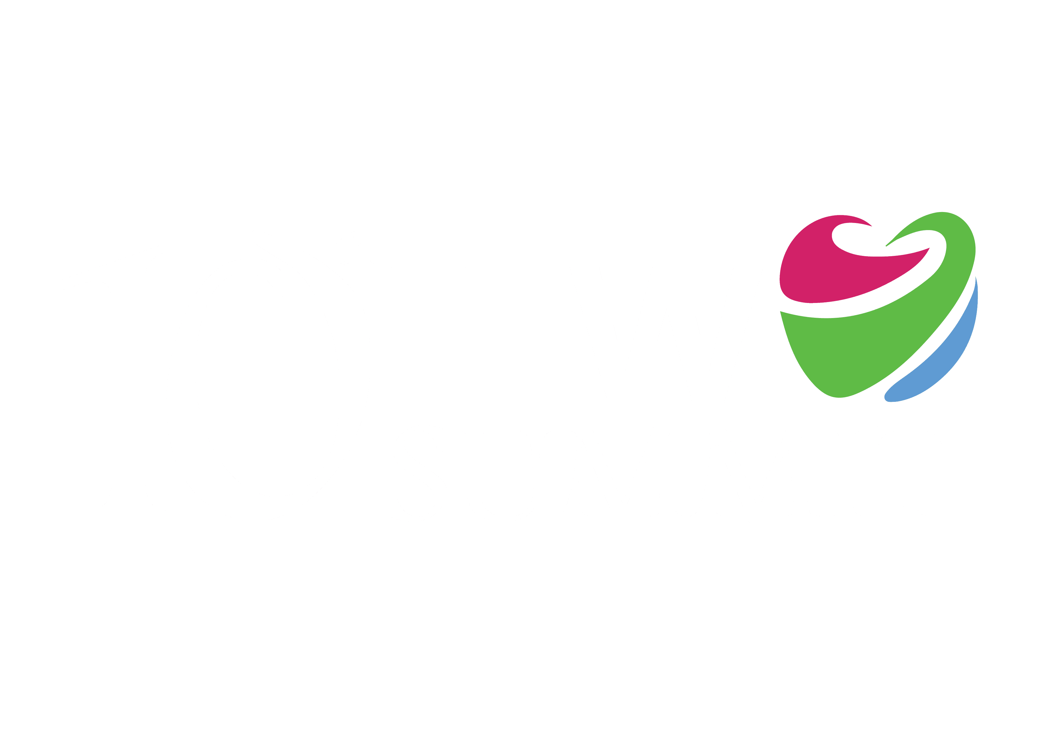 IHW Council Global Summit